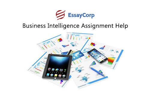 Business Intelligence Assignment Help by EssayCorp Experts