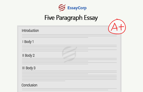 5 Paragraph Essay Writing by Expert Writer | EssayCorp
