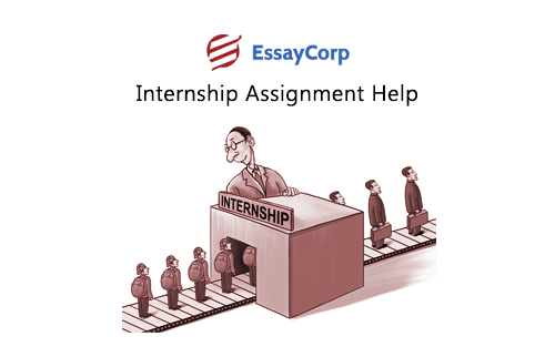 Internship Assignment Help Online | Internship Assignments