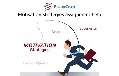 Motivation Strategies Assignment Help | EssayCorp