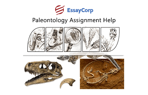 Paleontology Assignment Help by EssayCorp Experts