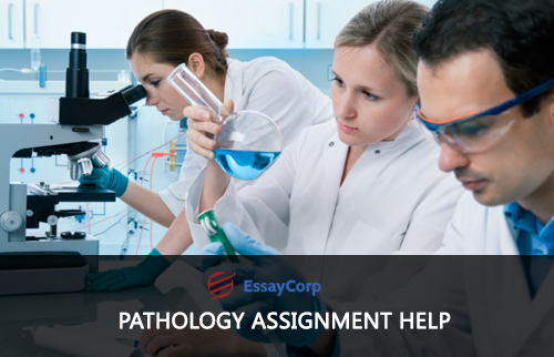 Receive Pathology Assignment Help Online by Experts
