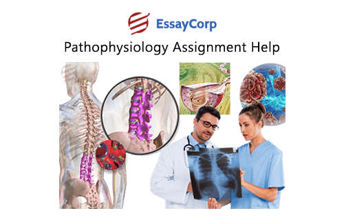 Pathophysiology or Physiopathology Assignment Help by Medical Experts