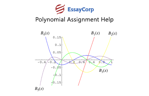 Polynomial Assignment Help & Homework Help by Professionals