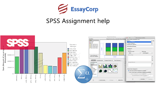 SPSS Assignment Help | SPSS Homework Help Services