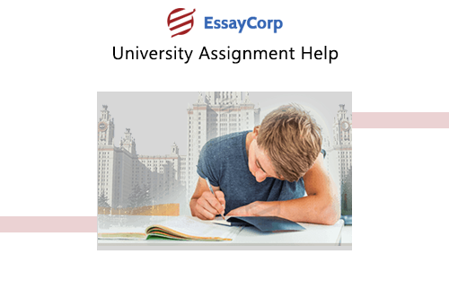 University Assignment Help Australia | 15% OFF First Order
