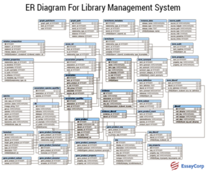 Draw An ER diagram Of The Library Database | EssayCorp
