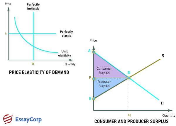 Everything You Need To Know About Microeconomics With Examples