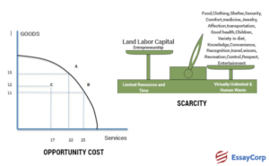 Everything You Need To Know About Microeconomics With Examples