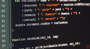 Python Programming Language: A Definitive Guide By EssayCorp
