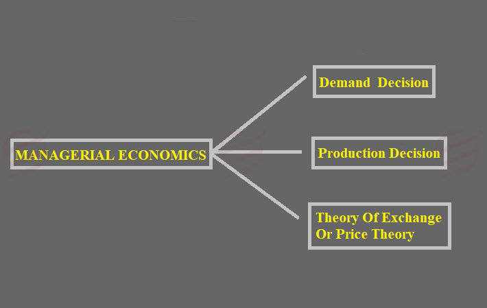 Managerial Economics Meaning and Applications