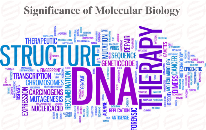 Apprehend the Meaning and Significance of Molecular Biology