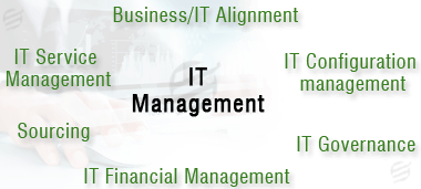 IT Management Assignment Help in USA, UK & Australia | EssayCorp