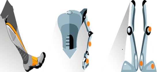 Biomedical Engineering Assignment Help Services Essaycorp 6133